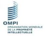 ODPIC – Office Djiboutien de la Propriété Industrielle et Commerciale
