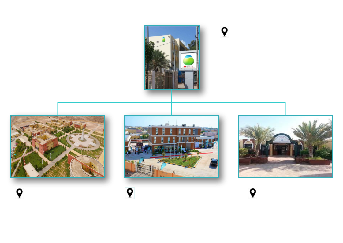 Structure organisationnelle du RN-CATI – ODPIC